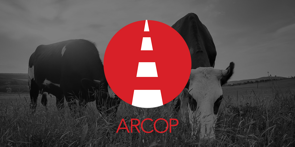 Arcop Inc. Website Design - Guido Media Design & Development