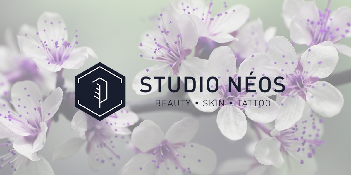 Studio Neos Website Design - Guido Media Design & Development